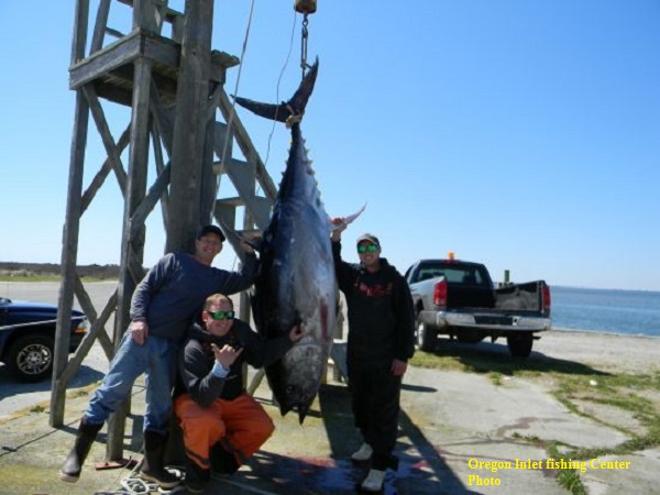 Wednesday, 3/23/16 – TW's Bait and Tackle