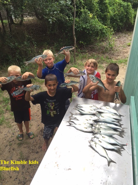 Will Kimble – TW's Bait and Tackle