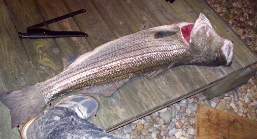 jeff-dempsey – TW's Bait and Tackle