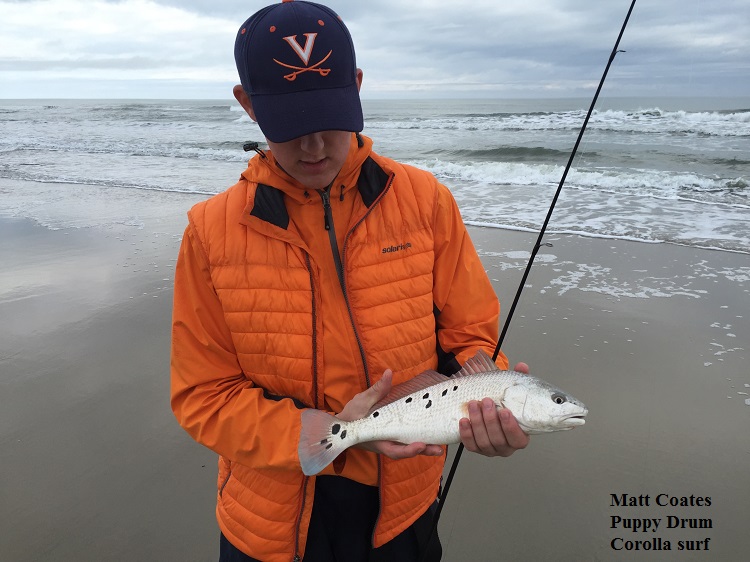 matt-coates – TW's Bait and Tackle