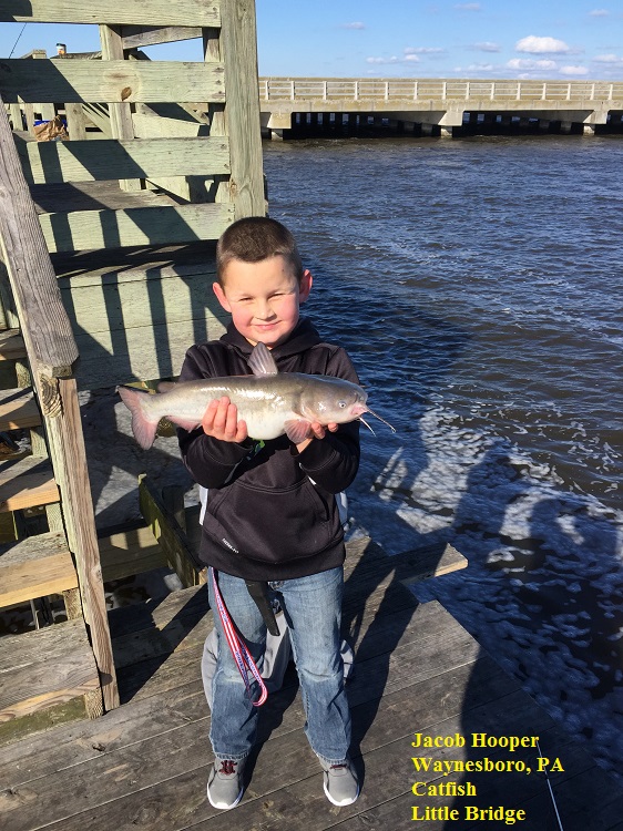 Sunday, 12/11/16 – TW's Bait and Tackle