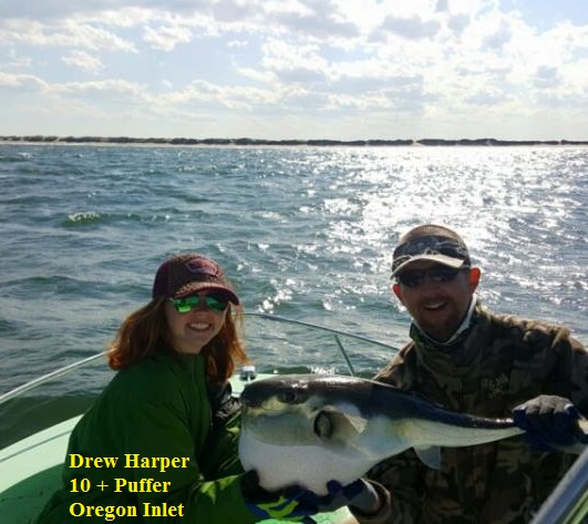 Drew Harper – TW's Bait and Tackle