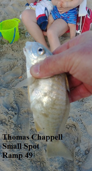 Thursday, 7/16/20 – TW's Bait and Tackle