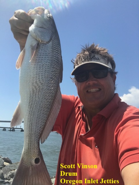 Friday, 8/7/20 – TW's Bait and Tackle