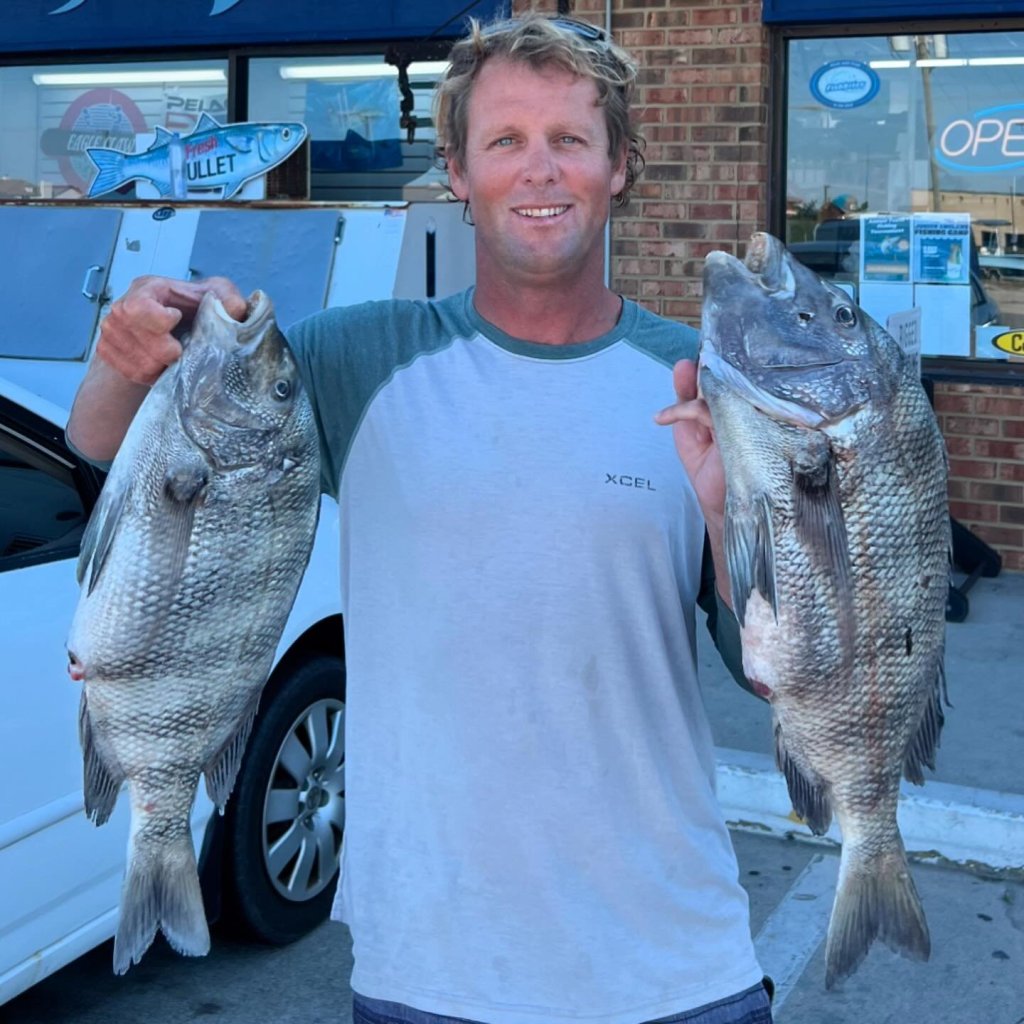 TW’S DAILY FISHING REPORT – TW's Bait and Tackle